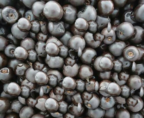 35 Fruits that start with U (#24 Will Surprise You) - Dietary Habit